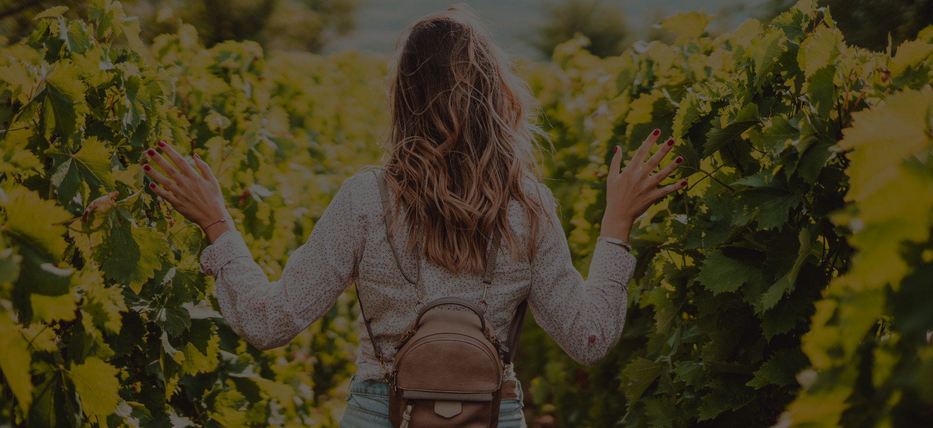 Waconia Wine Country – The Wineries of Lake Waconia